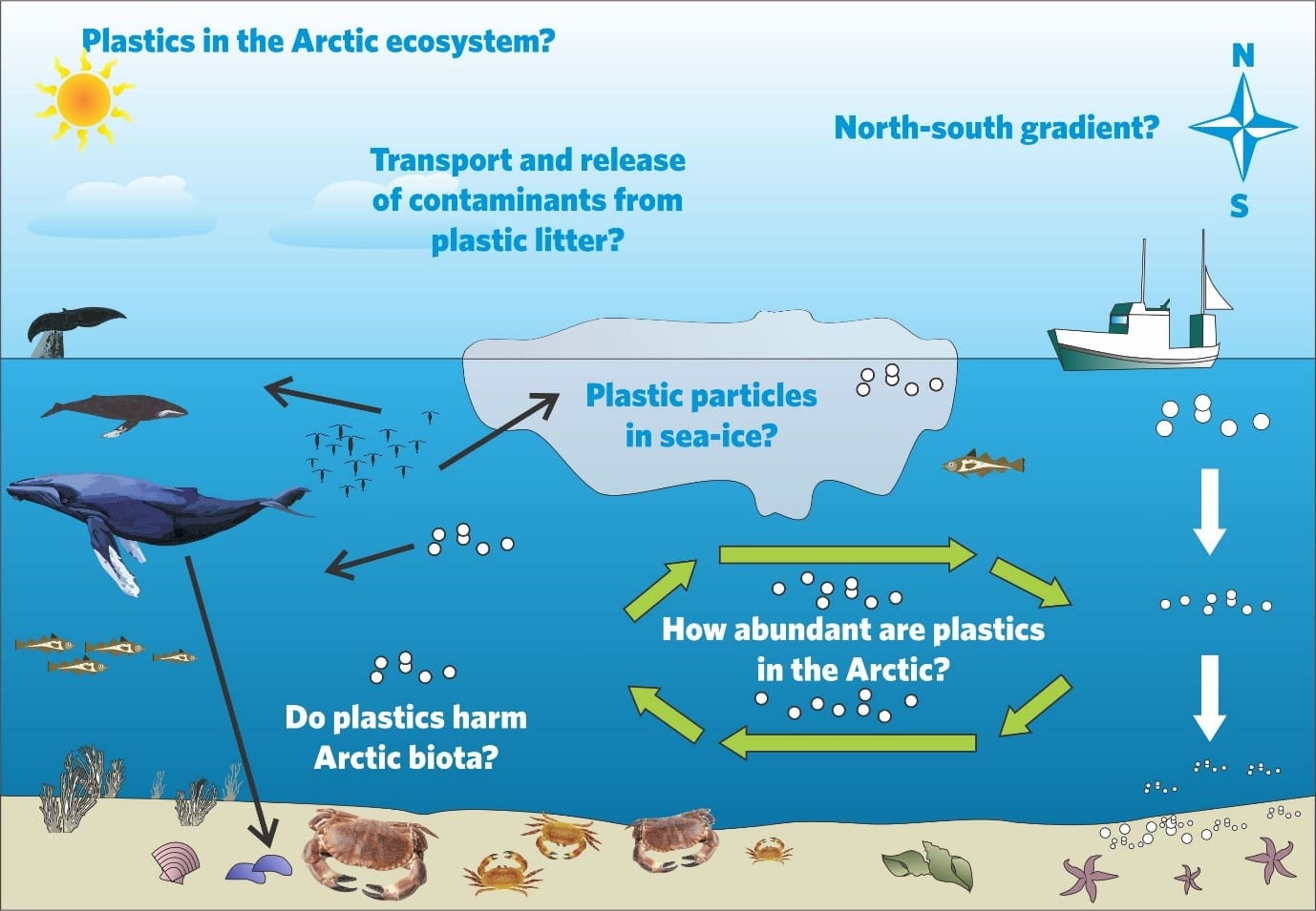 Marine plastic pollution in the Arctic: an emerging research field ...